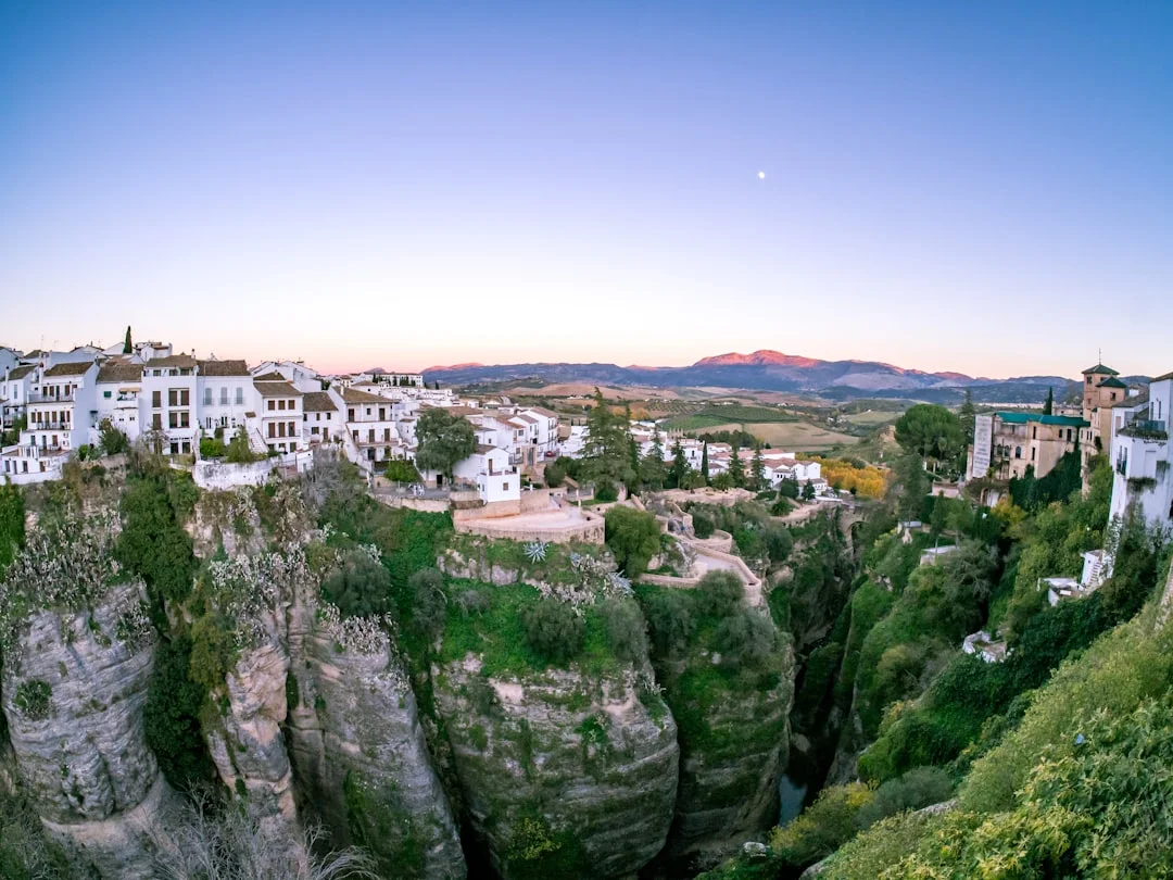 Málaga Violin Spider: What Expats and Hikers Need to Know | Málaga.is